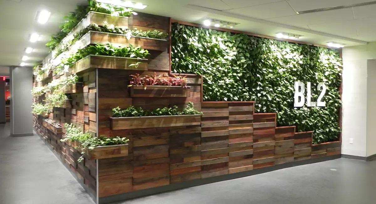 Maximizing the Green: Essential Tips for Green Wall Maintenance ...